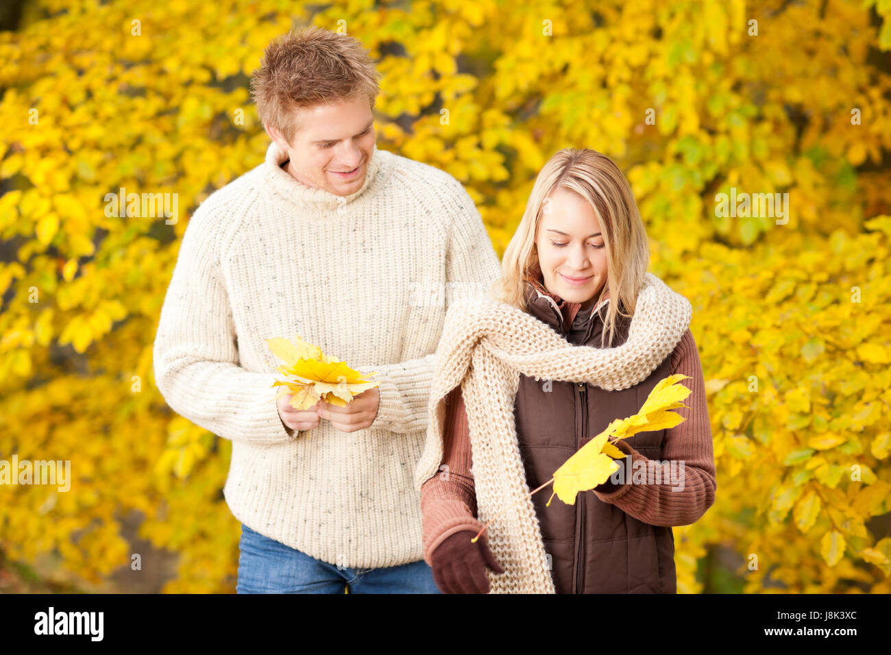 leaf, season, couple, pair, hug, embracement, embracing, nature ...