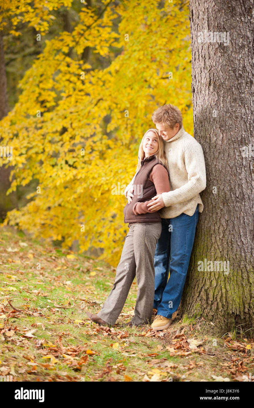 leaf, season, couple, pair, hug, embracement, embracing, nature ...