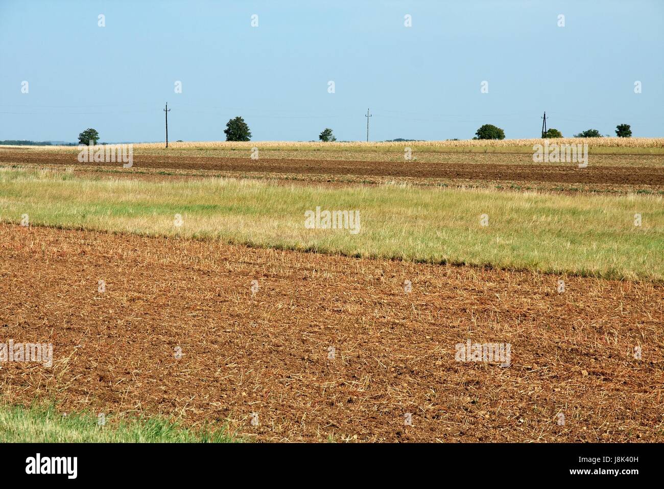 agricultural, ground, soil, earth, humus, agriculture, farming, field ...