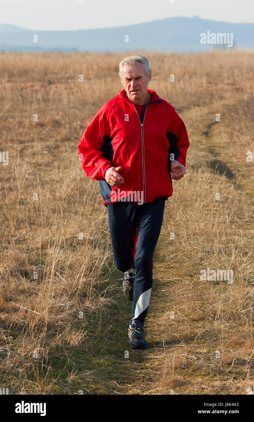 legs, humans, human beings, people, folk, persons, human, human being ...