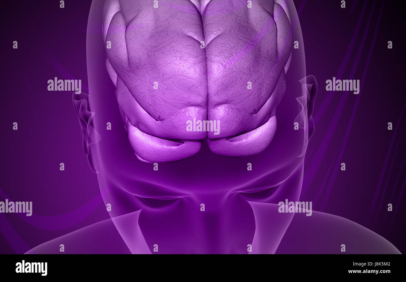 education, graphics, colour, science, illustration, violet, imagination ...