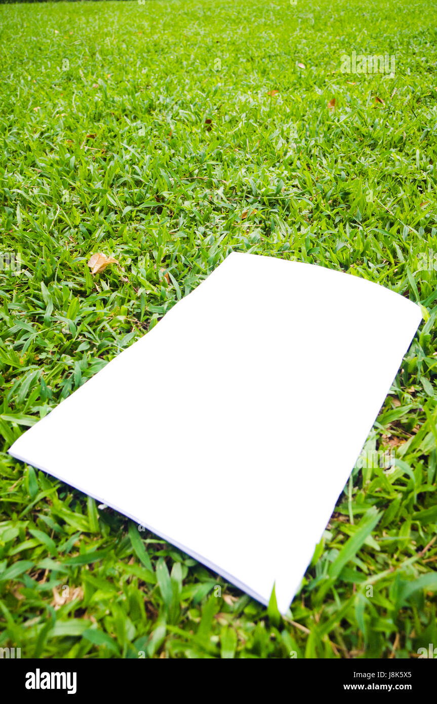 environment, enviroment, park, space, field, blank, european, caucasian ...