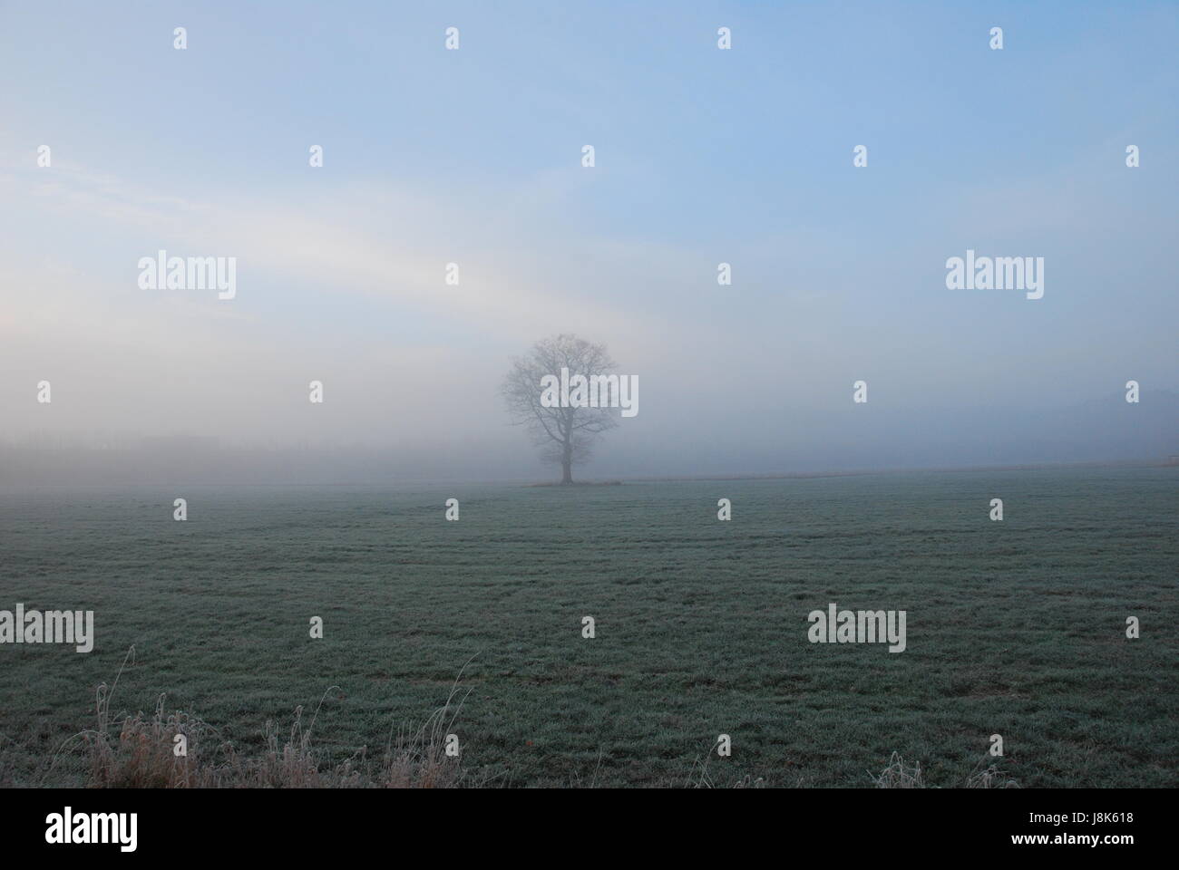 fog, walk, community, village, market town, scenery, countryside ...