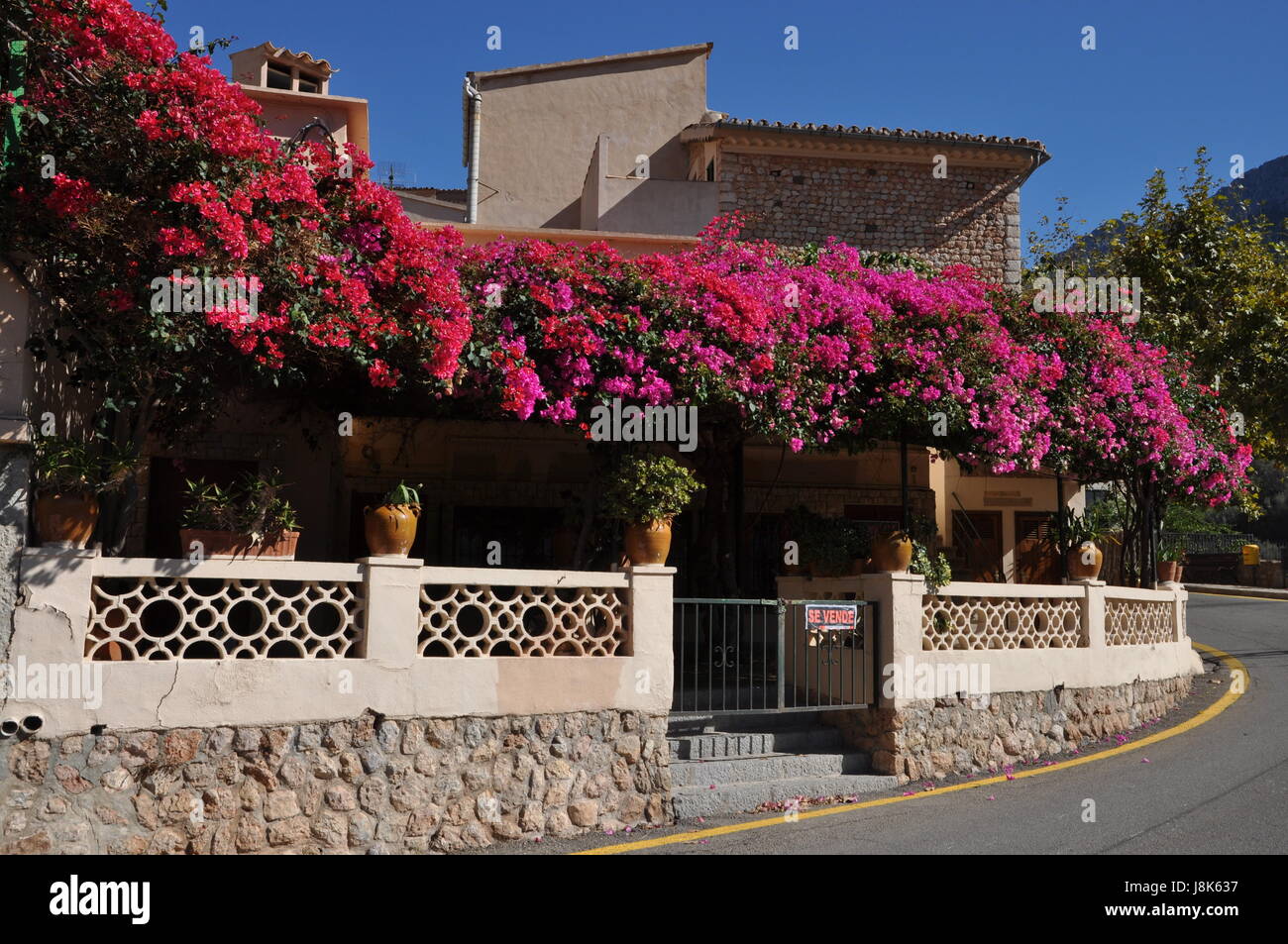 house, building, flower, plant, flowers, mallorca, spain, balearic ...