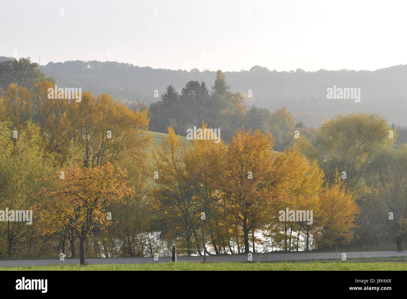 fog, twilight, autumn colours, scenery, countryside, nature, fall ...