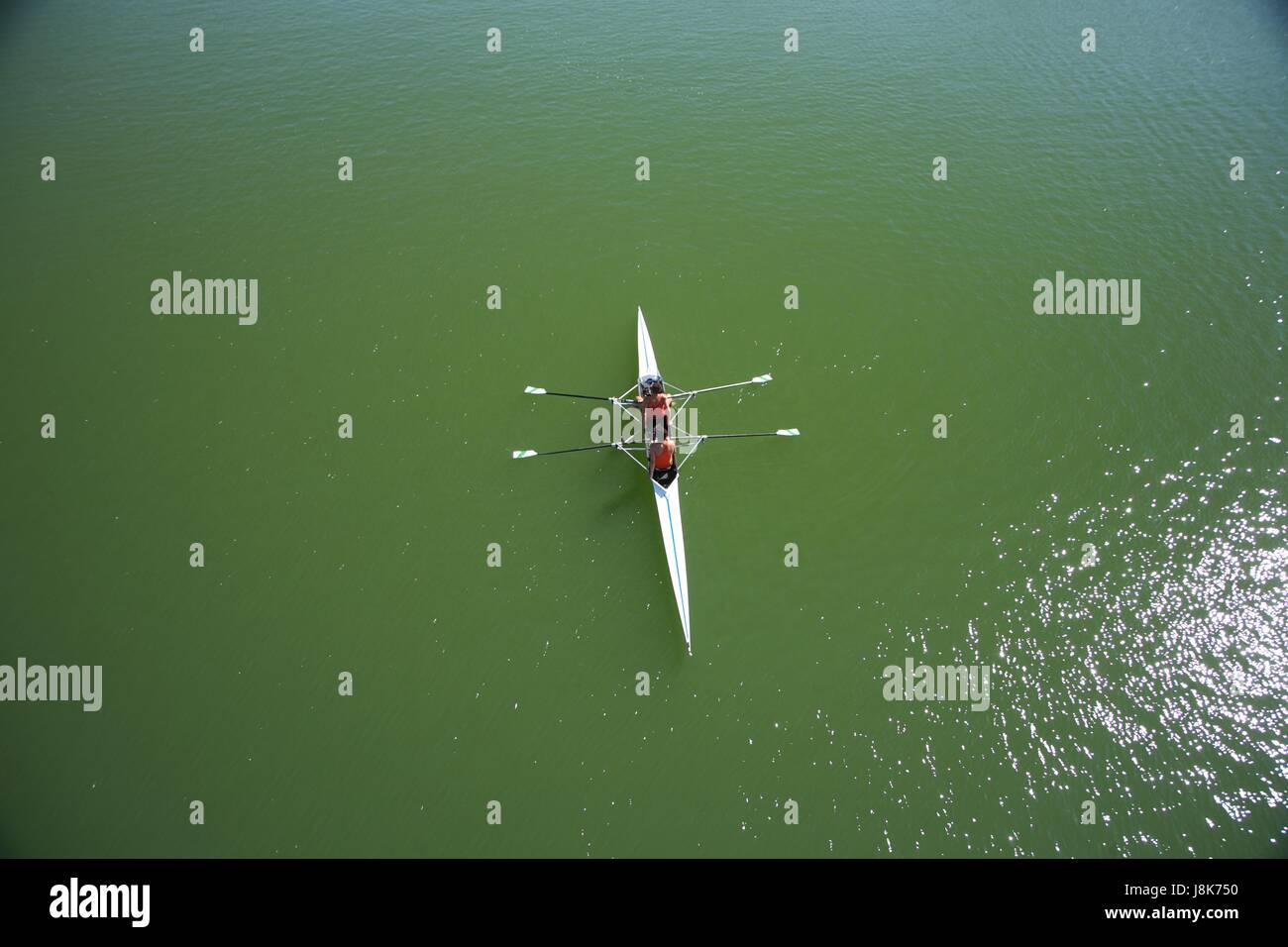 sport, sports, oar, row, oarsman, canoe, rowing, river, water, blue ...