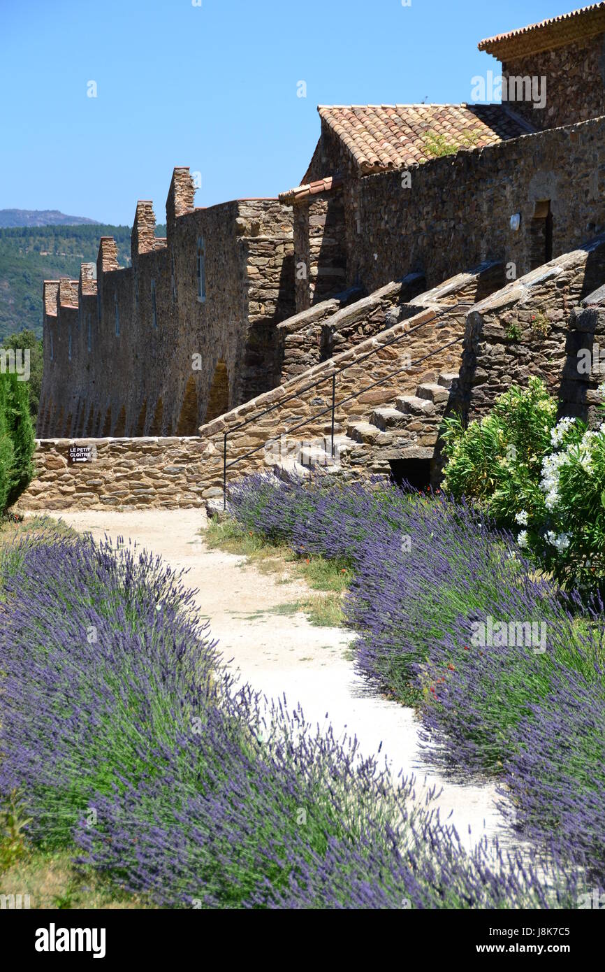 france, monastery, Provence, convent, france, monastery, Provence ...