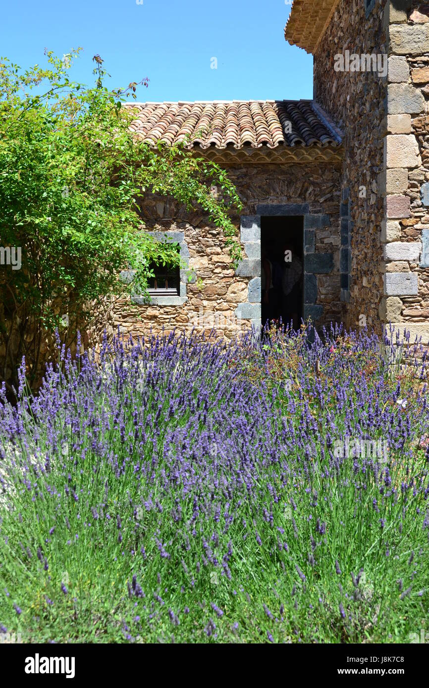 france, monastery, Provence, convent, france, monastery, Provence ...