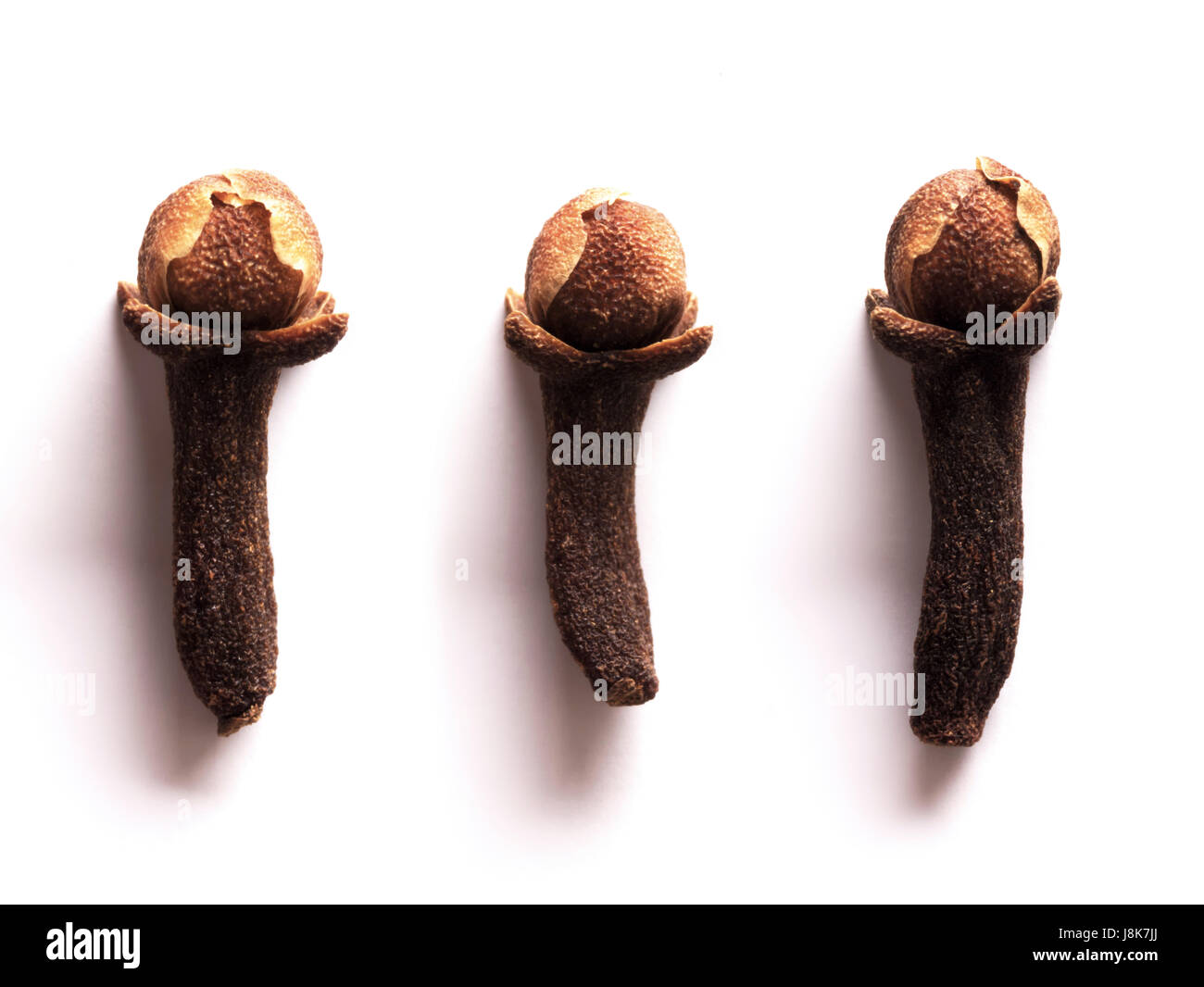 spice, condiment, aromatic, dried, spices, ingredient, cloves, clove ...