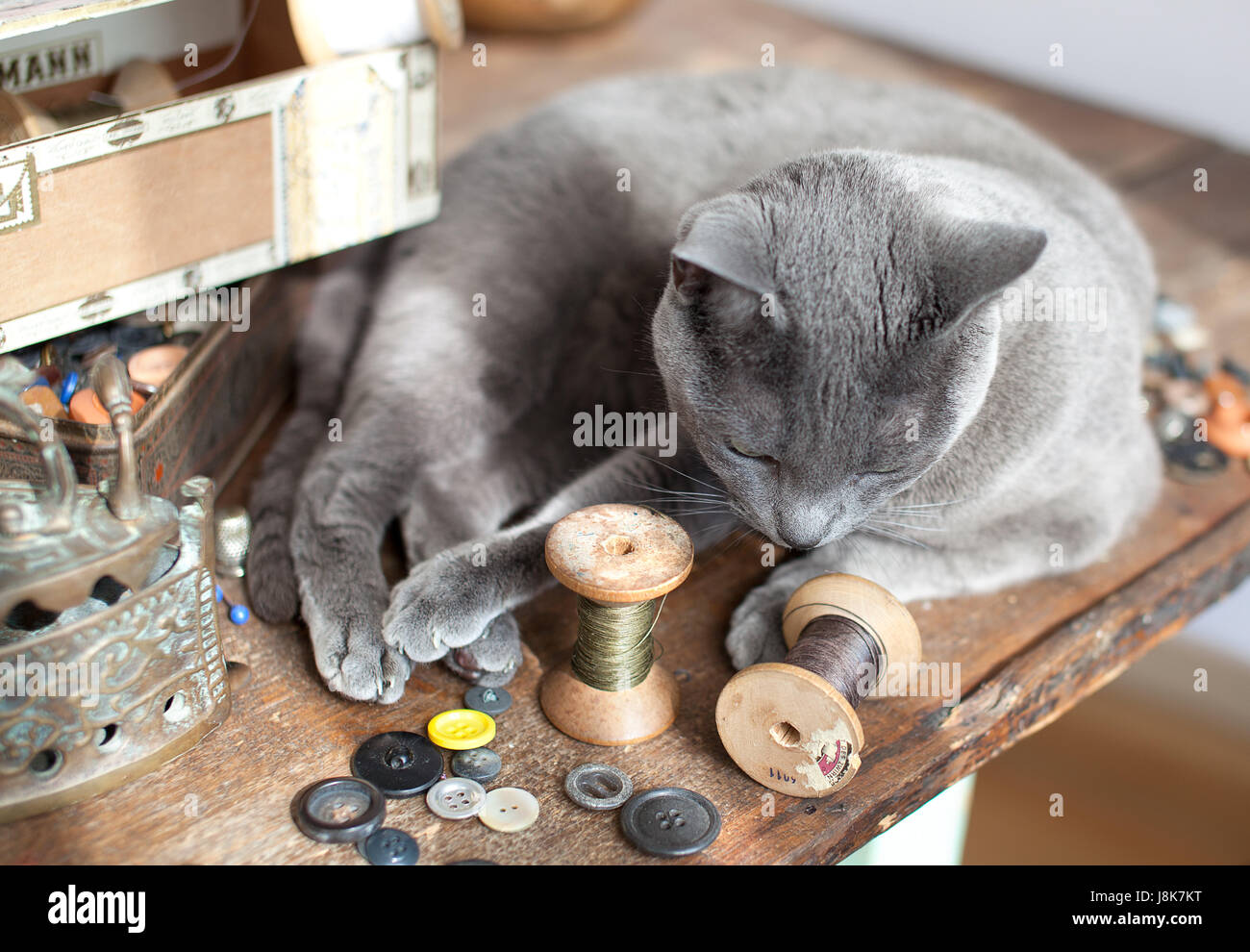 lie, lying, lies, sleep, sleeping, tins, doze, retro, facilitate, ease ...