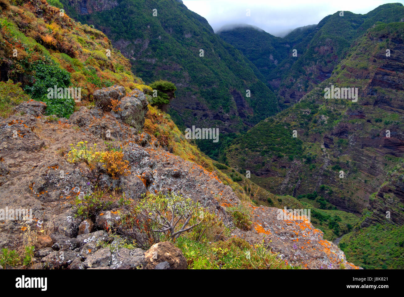 atlantic ocean, salt water, sea, ocean, water, canary islands, ravine ...