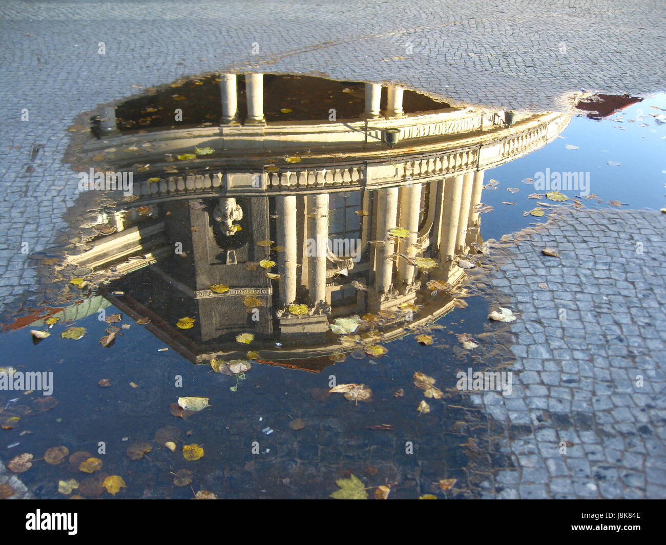 study, science, research, dome, mirroring, hamburg, puddle, university ...