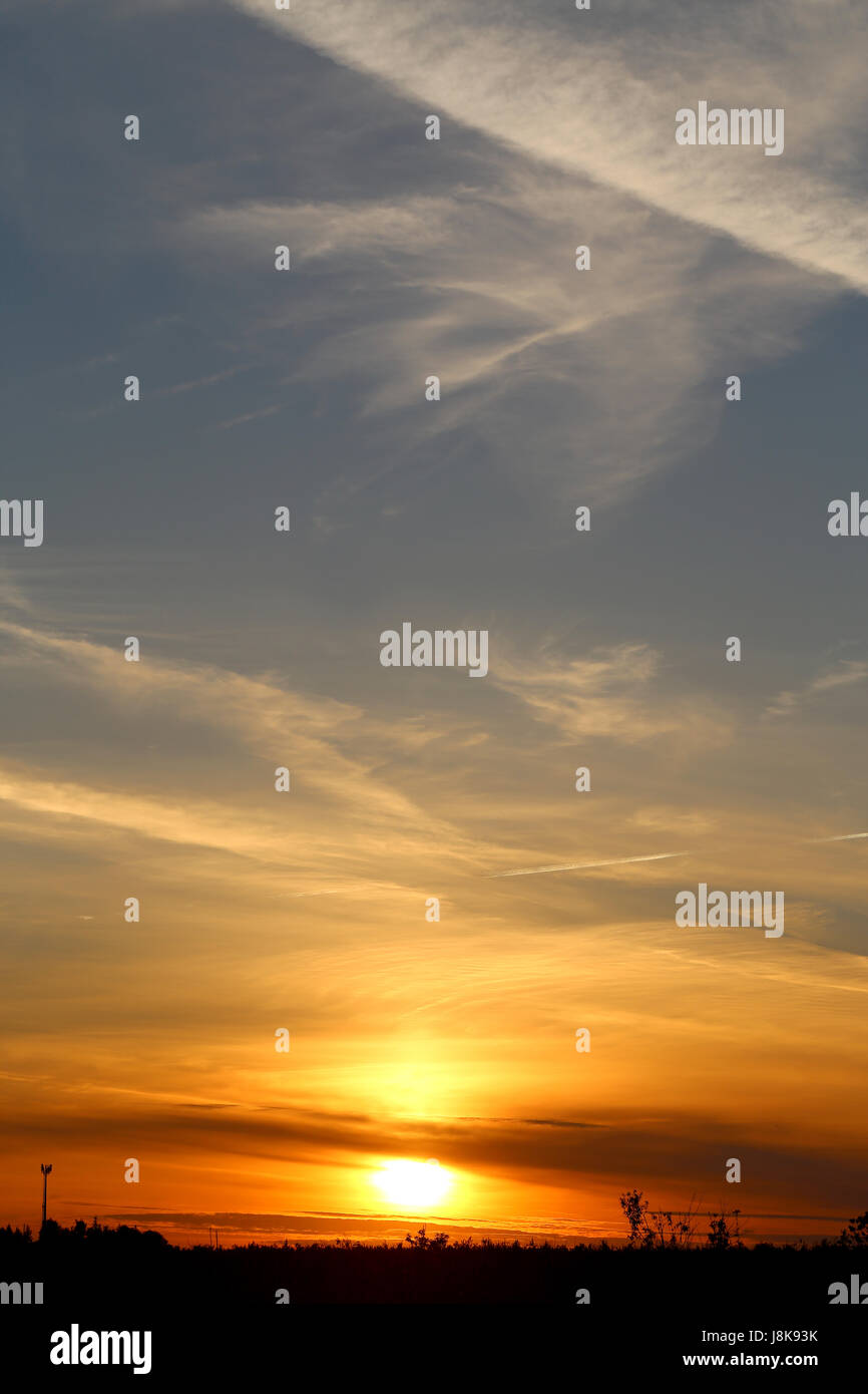 Beautiful bright sunset photo over the field Stock Photo - Alamy