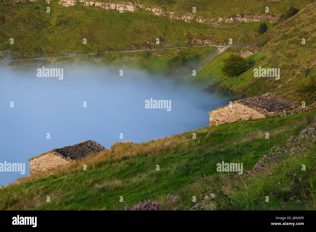 colour, shine, shines, bright, lucent, light, serene, luminous, sunny ...