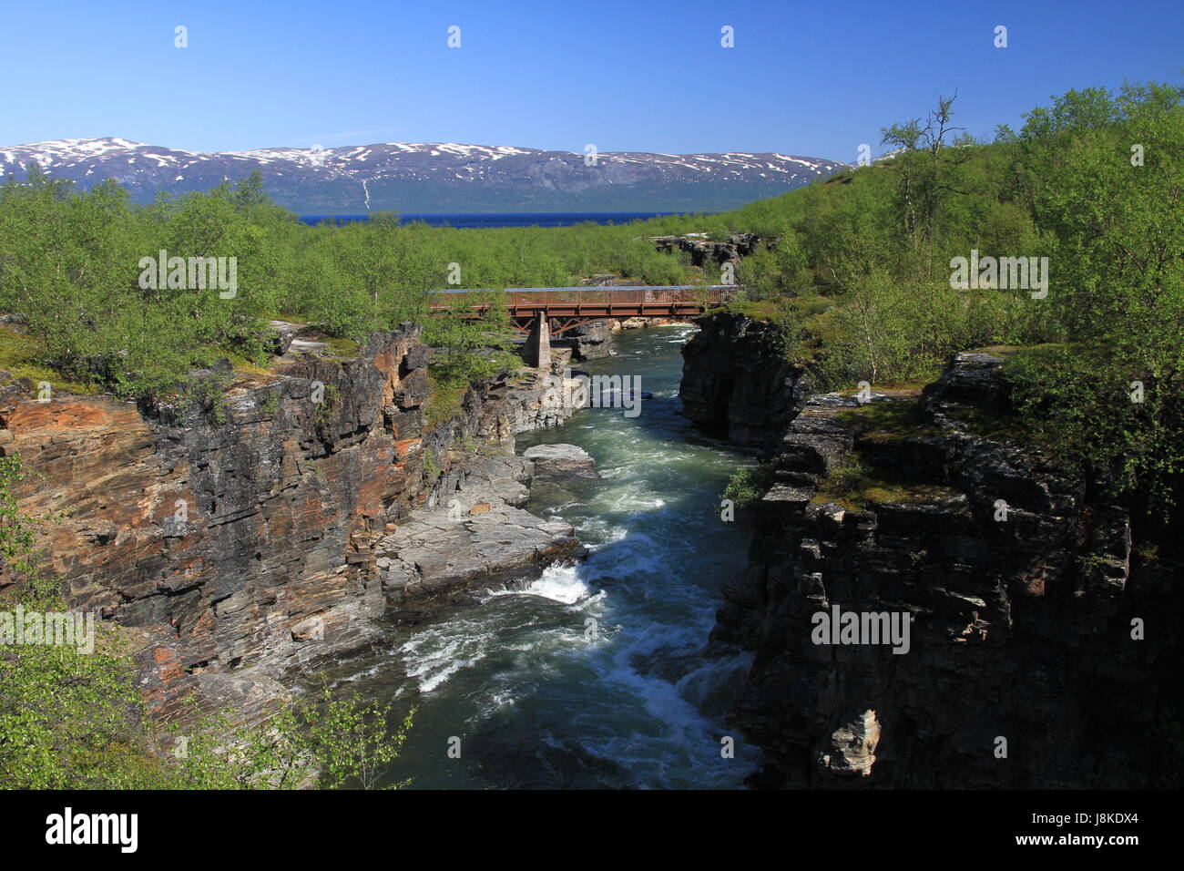 abisko national park Stock Photo - Alamy
