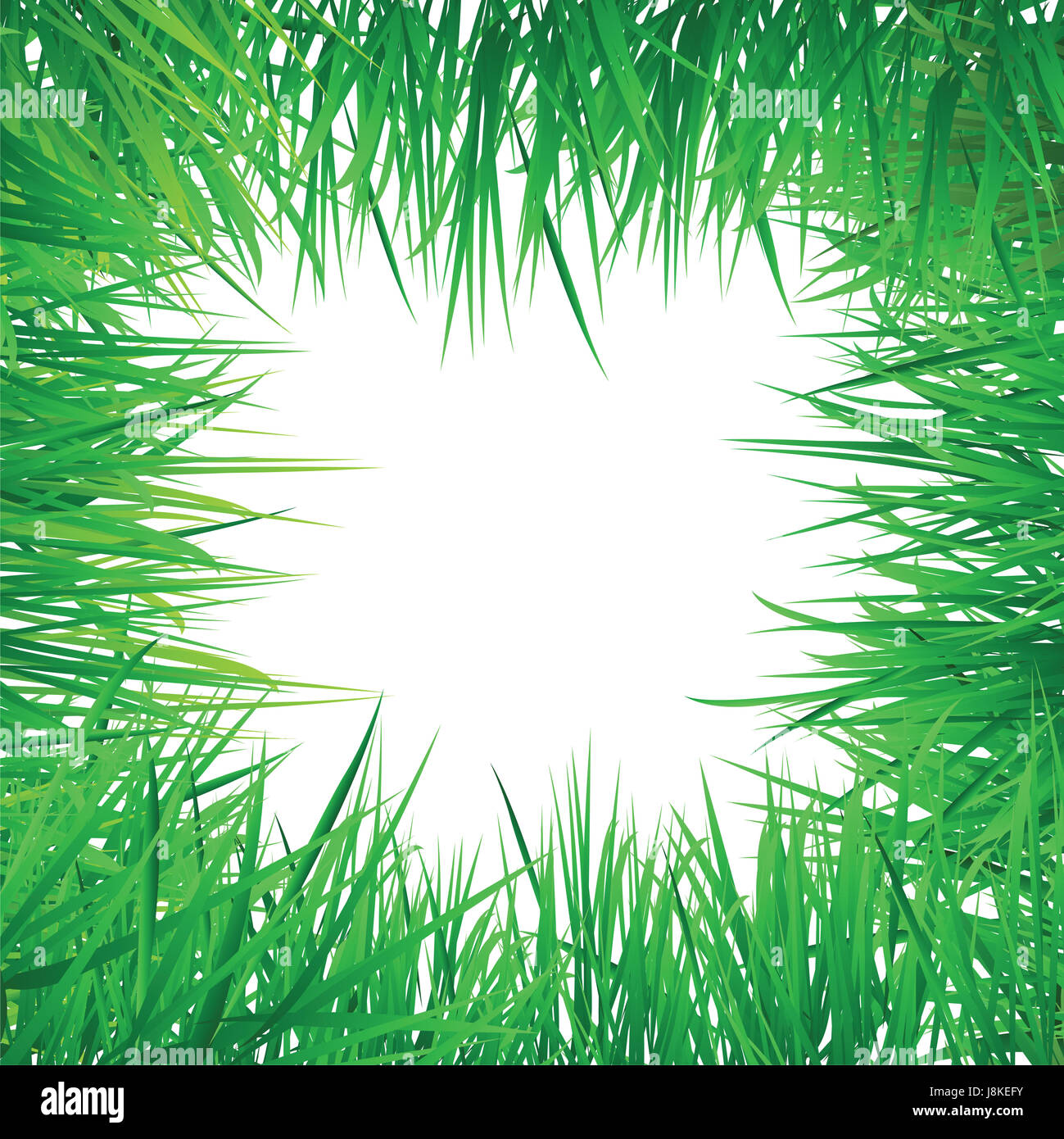 environment, enviroment, field, wildlife, ecology, wilderness, vector ...