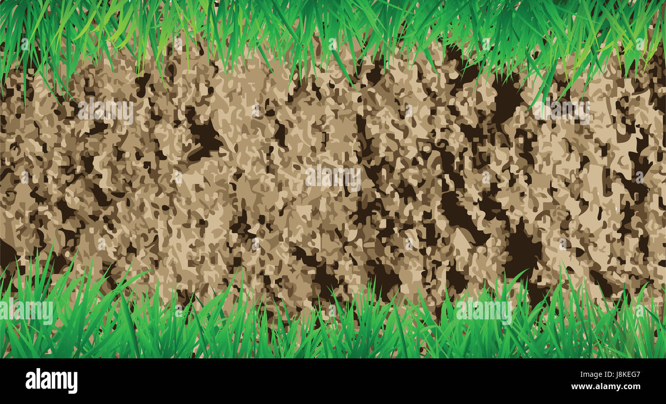 eco, environment, enviroment, space, ground, soil, earth, humus, soils ...