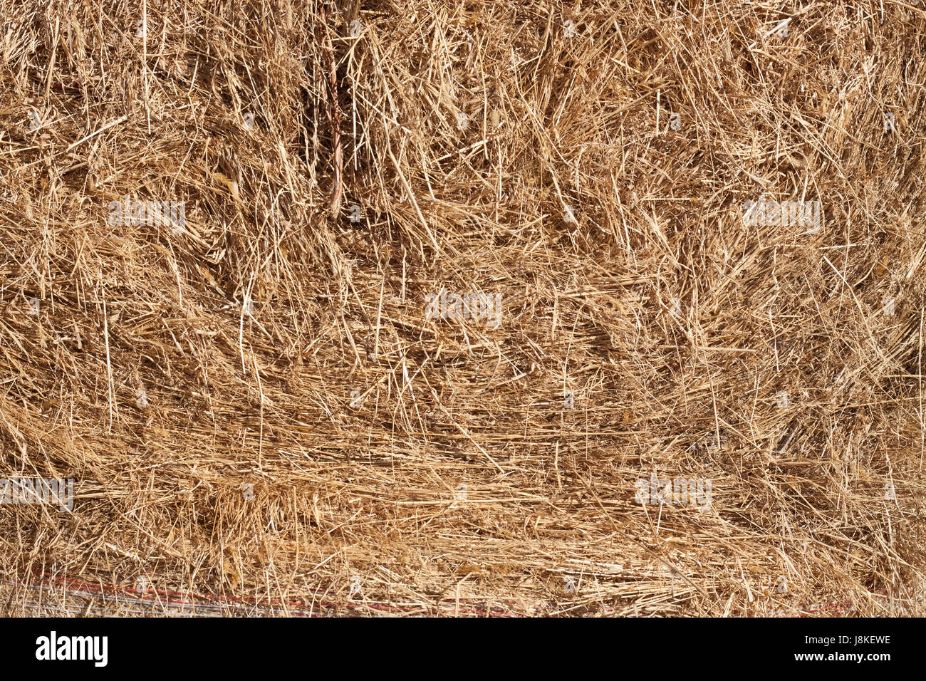 dry, dried up, barren, hay, pattern, backdrop, background, texture ...