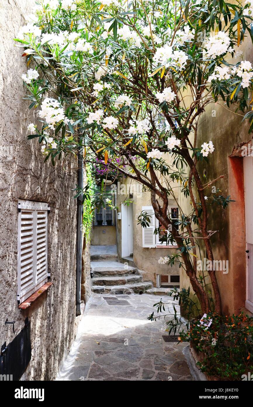 cities, france, Provence, scenery, countryside, nature, cities, france ...