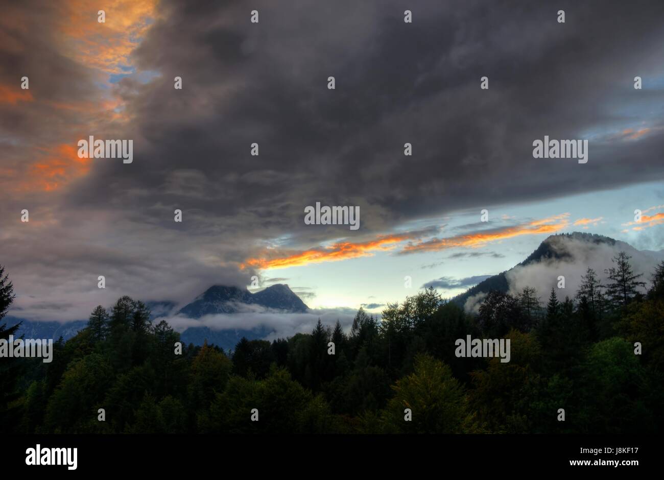 alps, austrians, evening sky, mountain, tree, trees, mountains, summit ...
