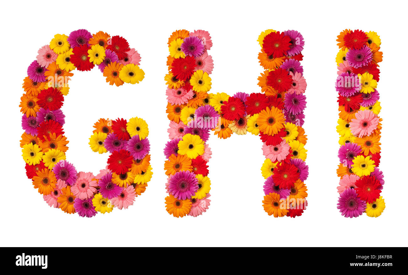 flower, plant, letter, daisy, alphabet, floral, beautiful, beauteously ...