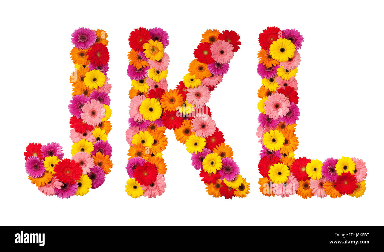 flower, plant, letter, daisy, alphabet, floral, beautiful, beauteously ...