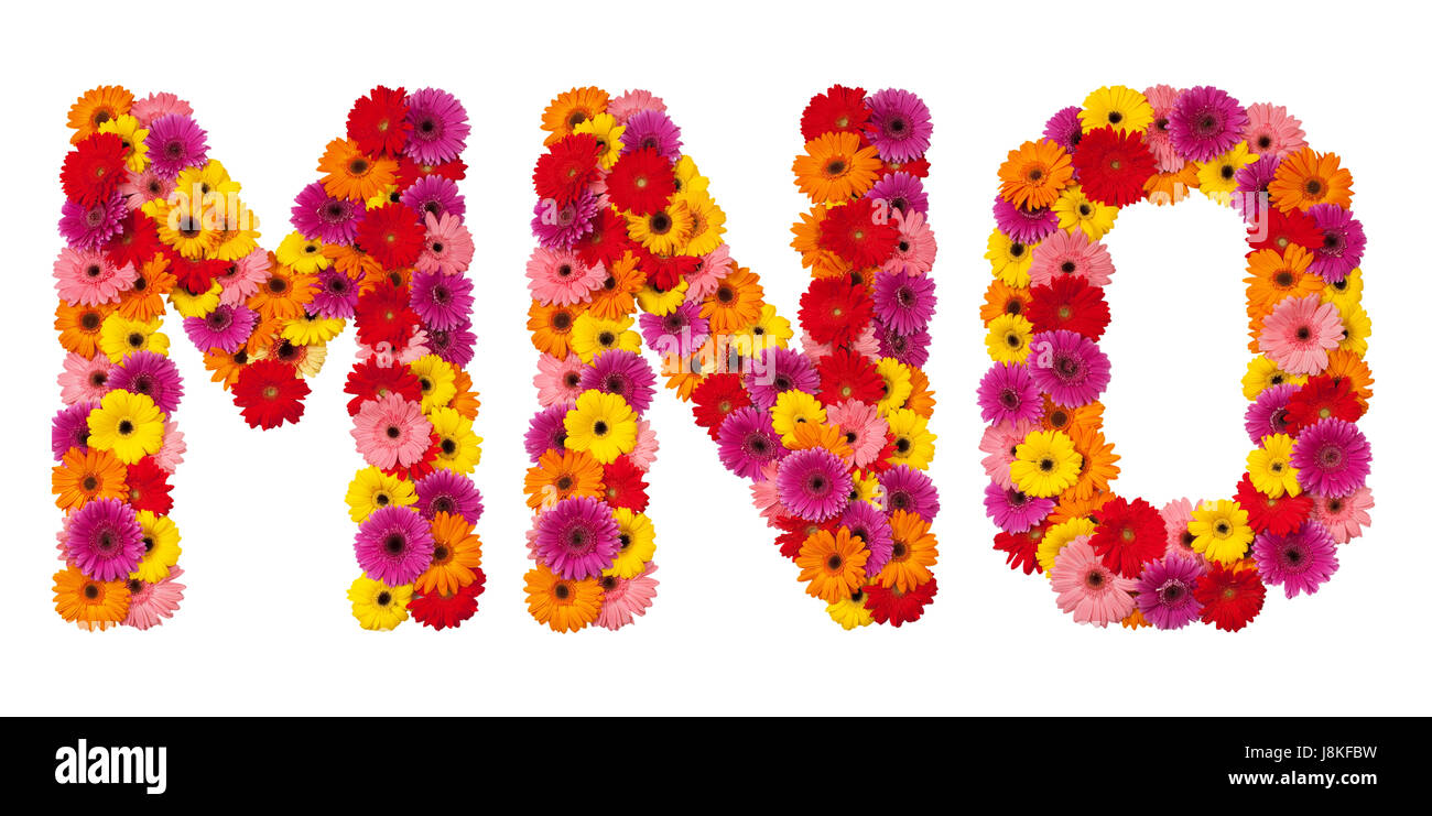 flower, plant, letter, daisy, alphabet, floral, beautiful, beauteously ...