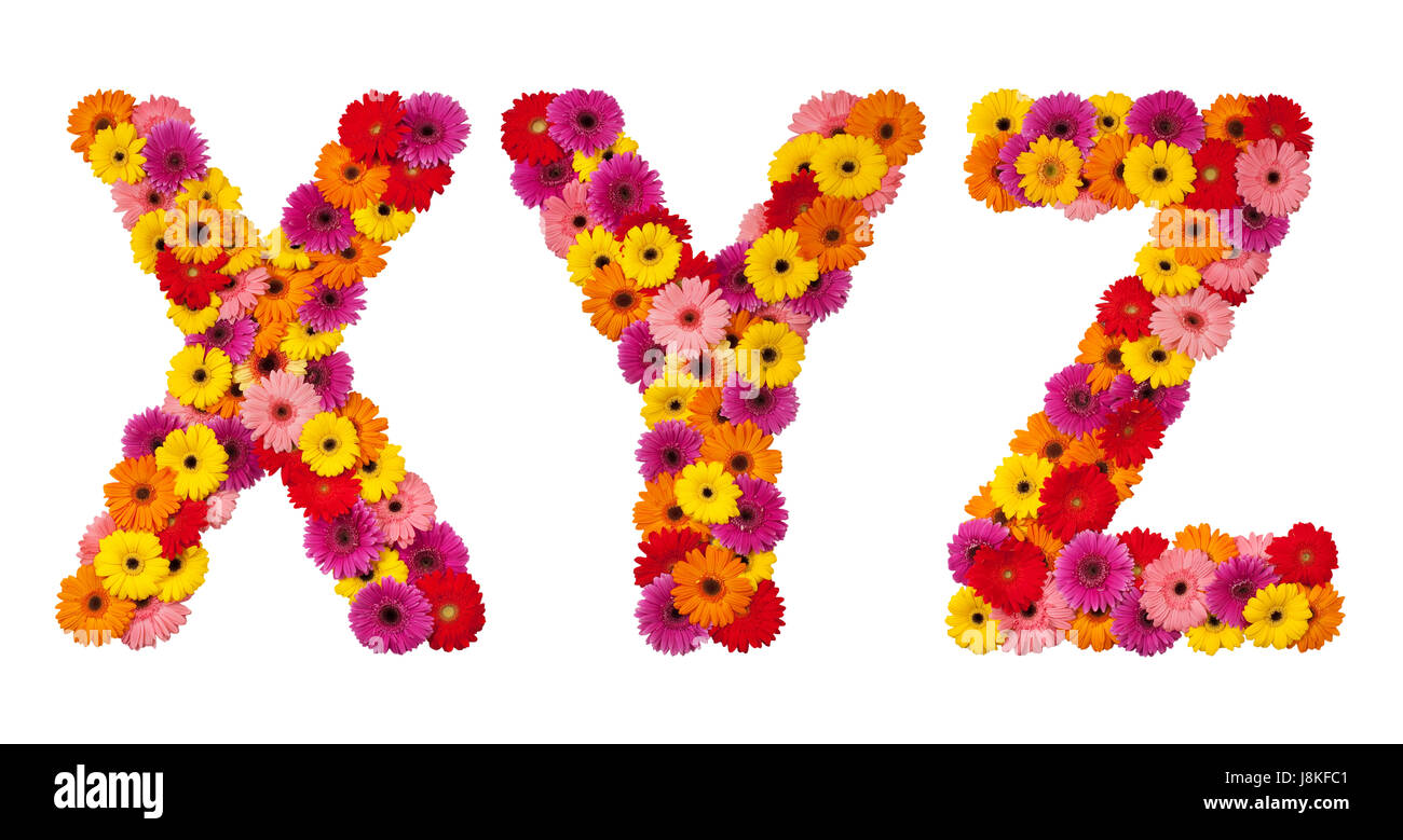 flower, plant, letter, daisy, alphabet, floral, beautiful, beauteously ...