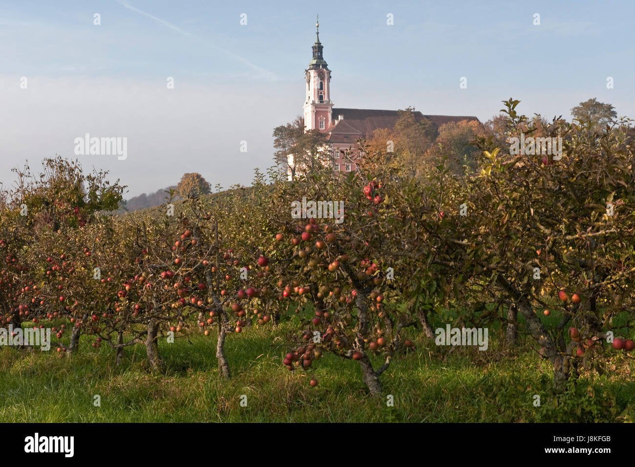 church, lake constance, fruit, apples, apple, monastery, basilica ...