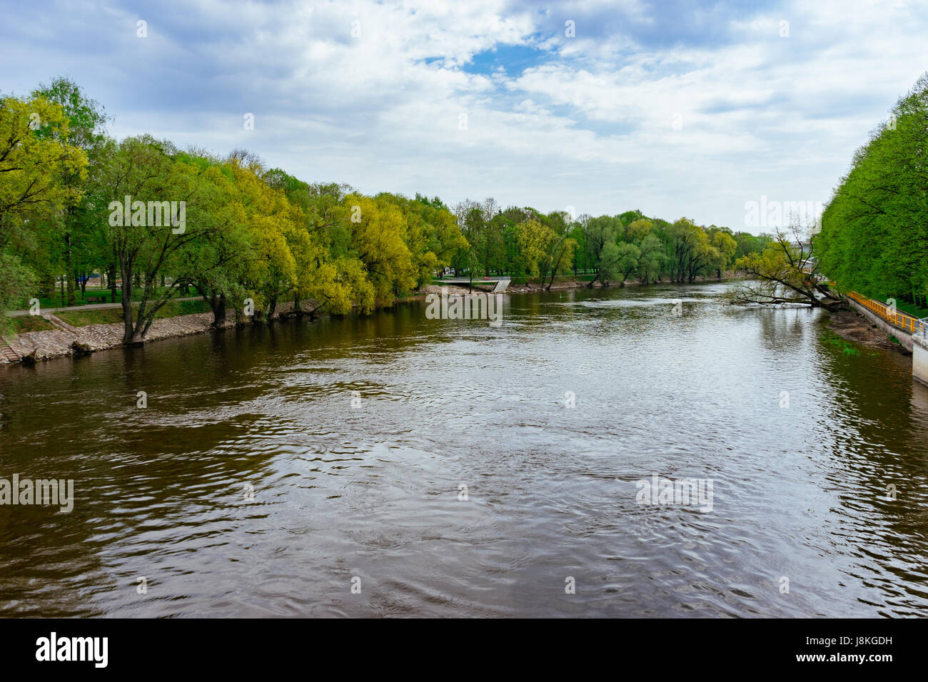 Lush trees on riverside of Emajogi river. Springtime in Tartu town ...