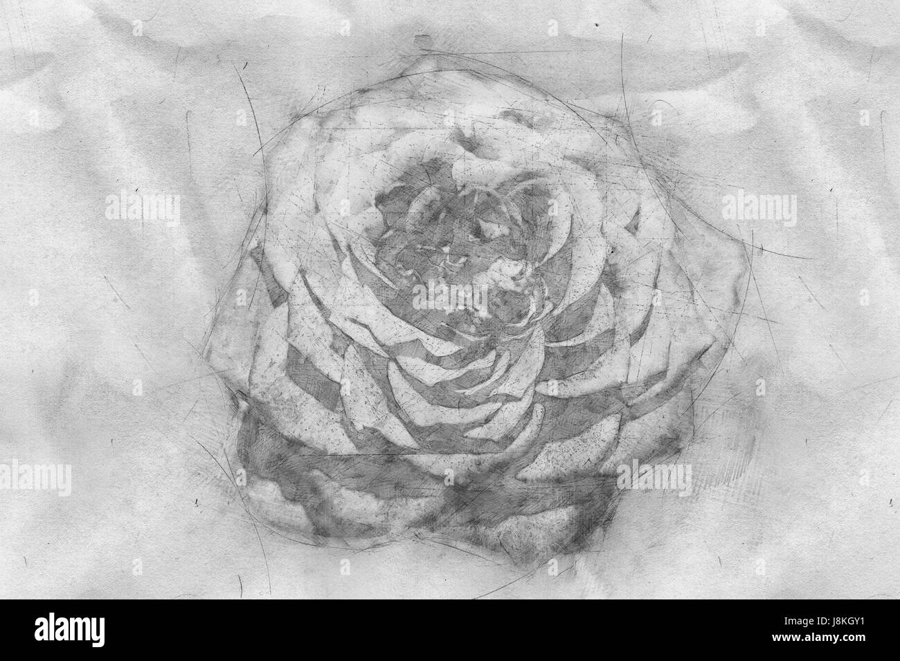 Beautiful sketch Black and White Stock Photos & Images - Alamy
