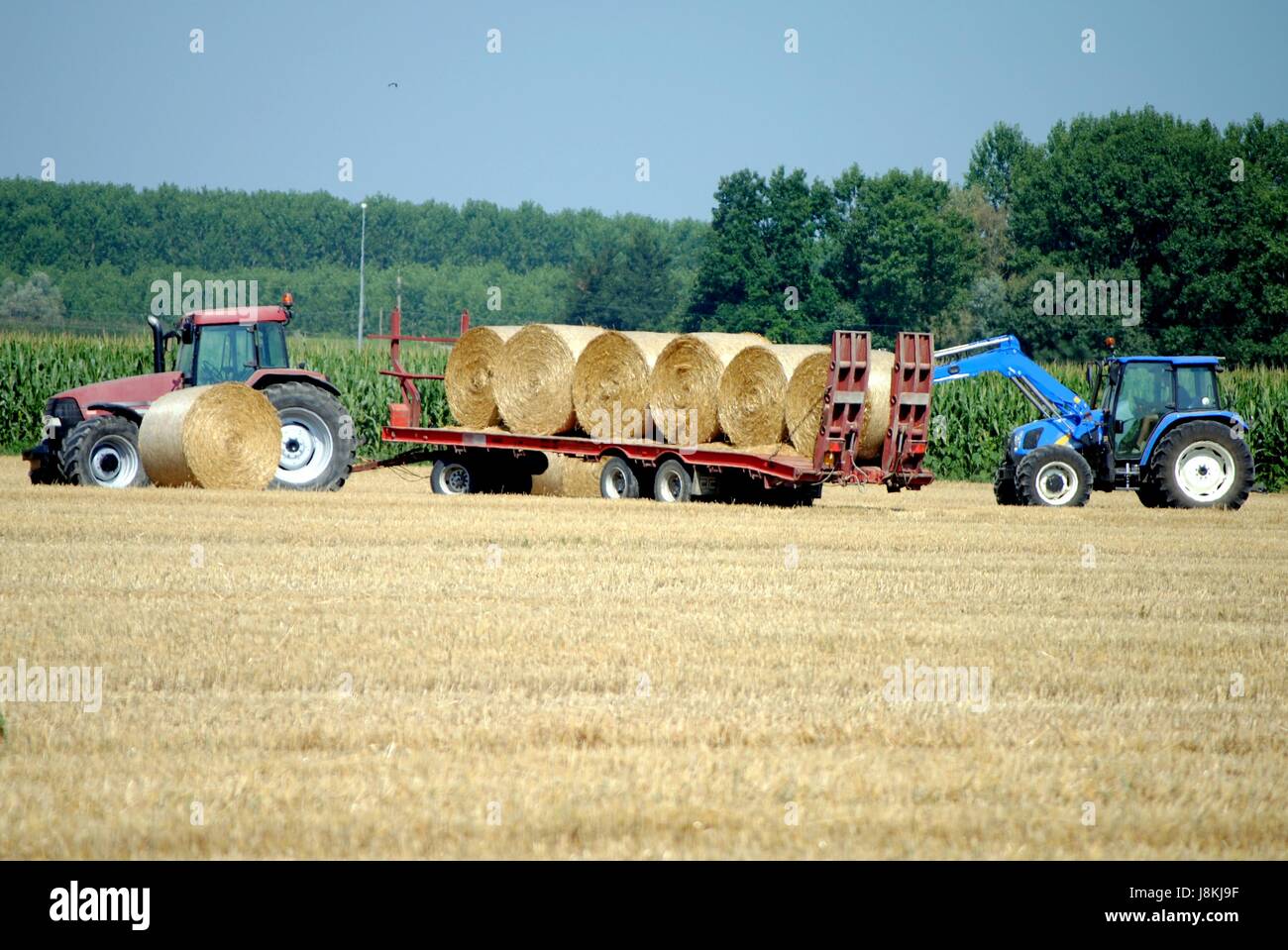 cow, farm, feed, tractor, hay, wallpaper, mow, farmland, landscape ...