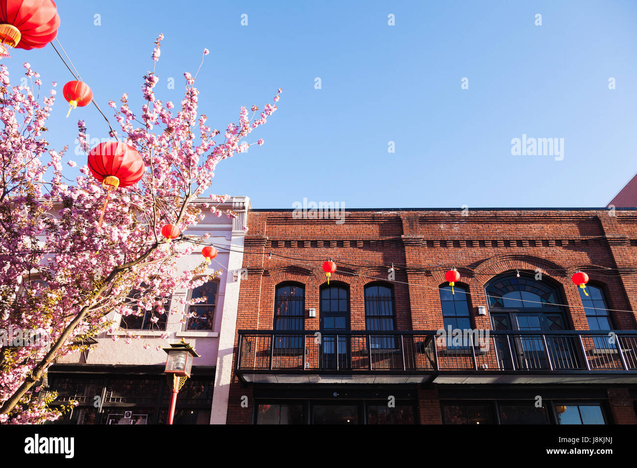 Cherry Blossom Tree Victoria Bc High Resolution Stock Photography and ...