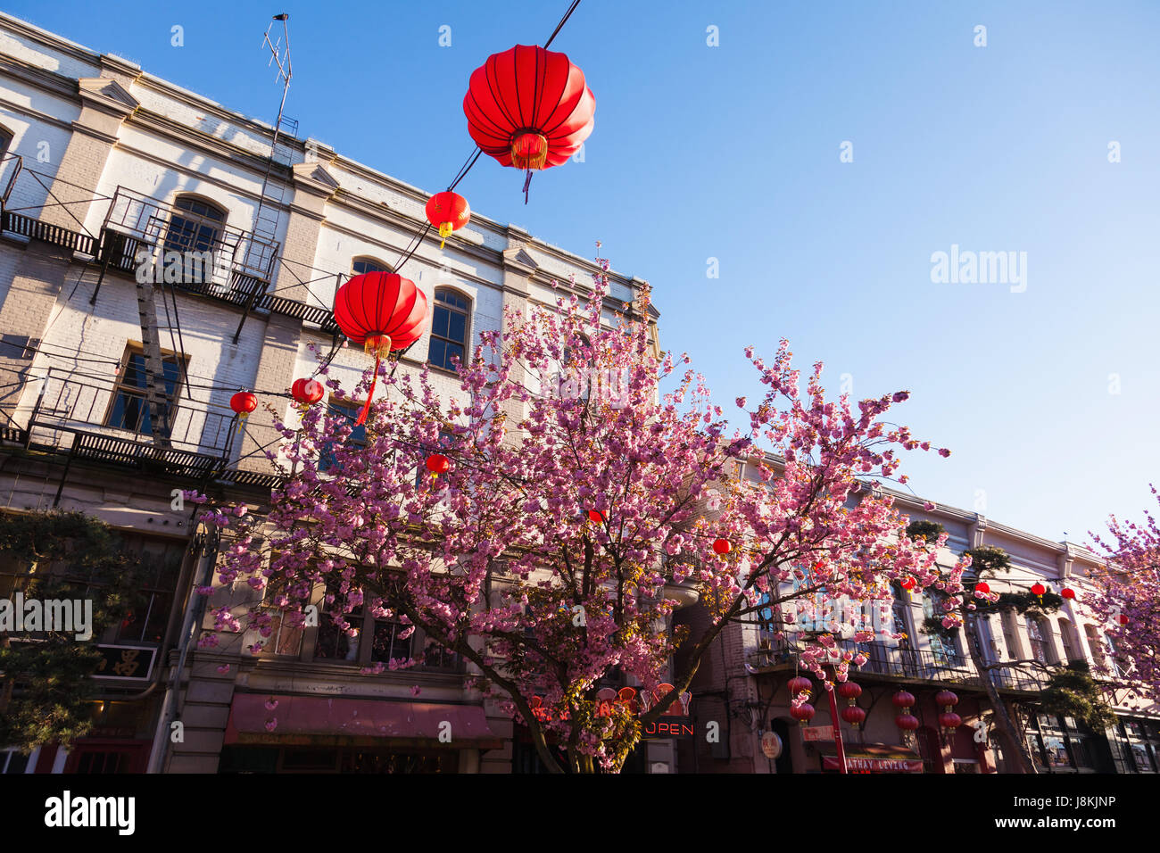 Cherry blossom tree victoria bc hi-res stock photography and images - Alamy