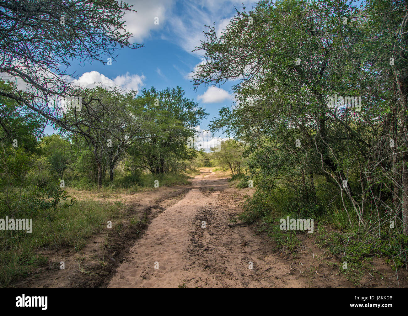 Landscape in Hlane-Royal National Park, Swaziland Stock Photo - Alamy