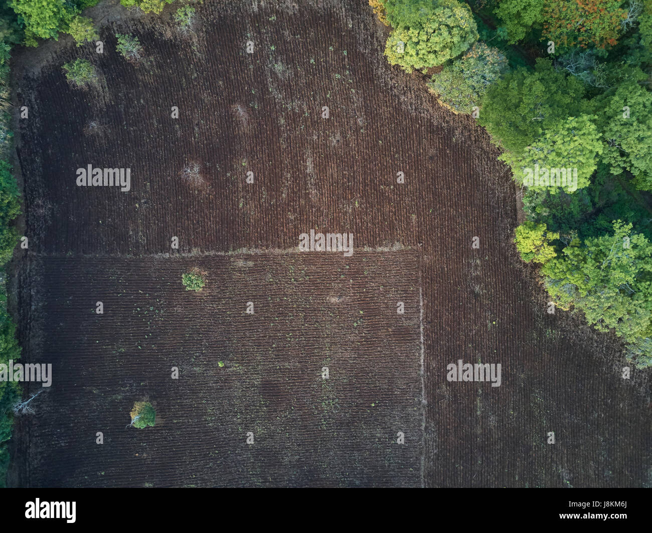Cultivated agriculture brown field aerial view. Brown soil above view ...