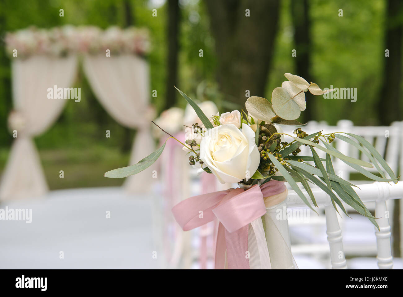Pink ranunculus and roses buds in tenderless boutonniere, closeup Stock ...