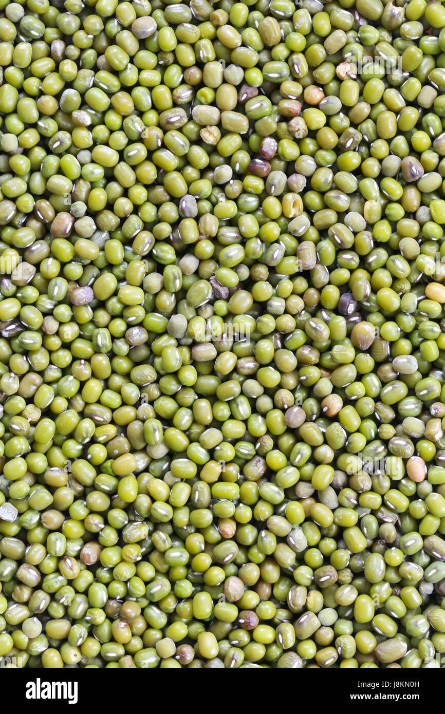 Pile green beans background for design nature foods backdrop Stock ...