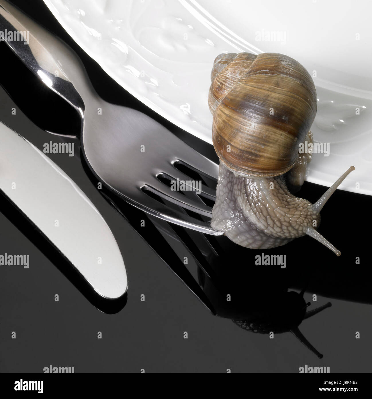 snail, edible snail, fork, cutlery, harness, motion, postponement ...