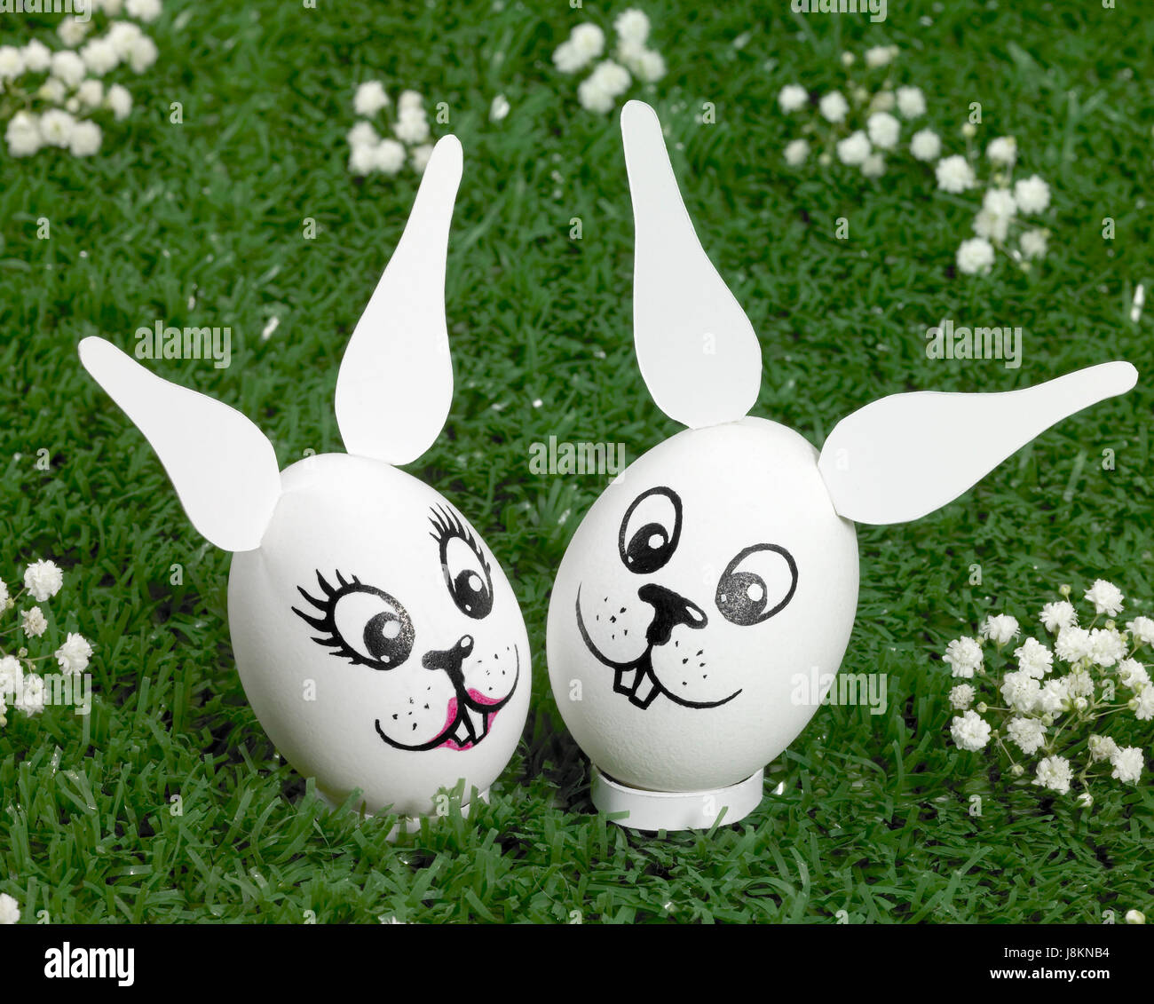 easter, hare, easter egg, painted, eggs, bunny, laugh, laughs, laughing ...