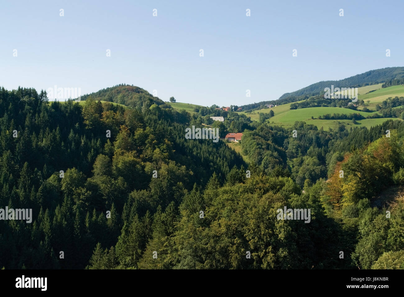 hill, agriculture, farming, black forest, idyllic, forest, bathing ...