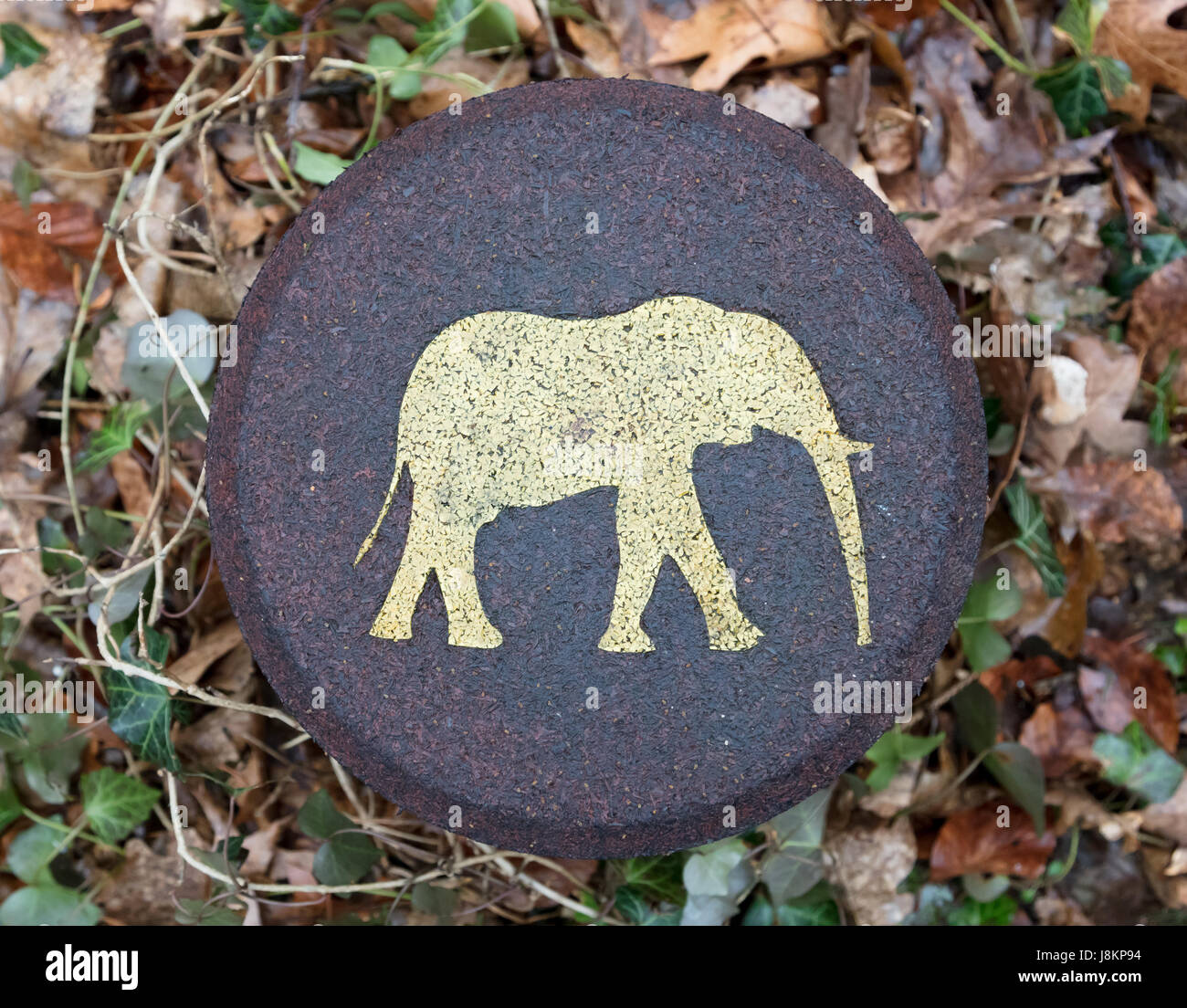 Elephant symbol hi-res stock photography and images - Alamy