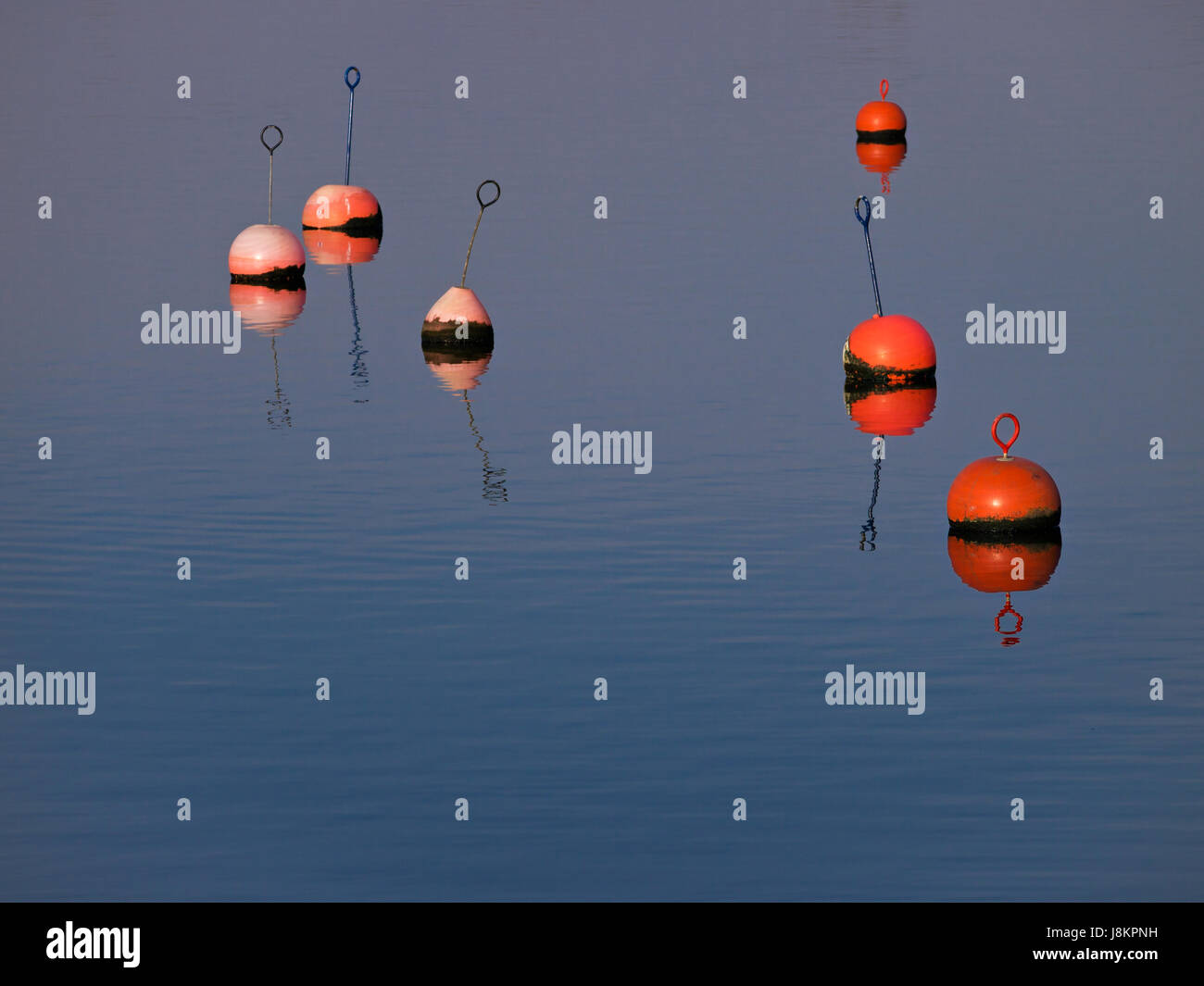 harbor, harbours, buoy, red, river, water, blue, harbor, mirroring ...