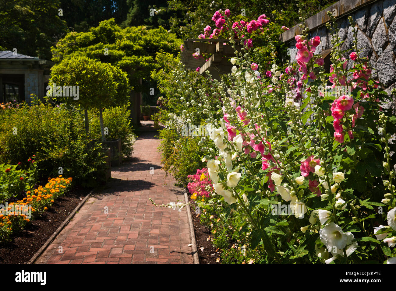 model, design, project, concept, plan, draft, garden, flower, flowers ...