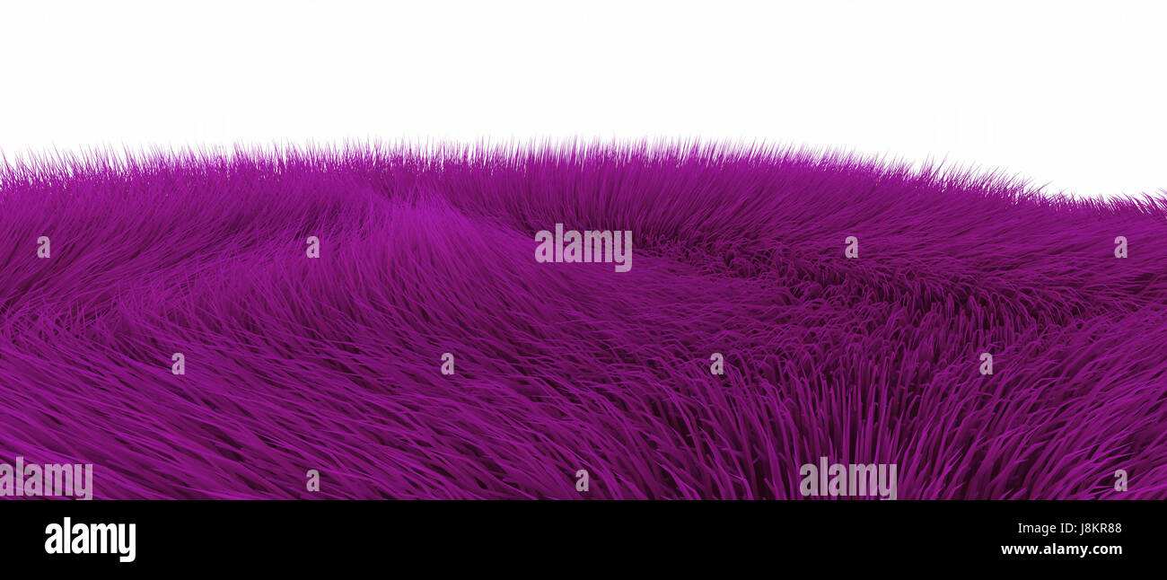 fur, skin, purple, violet, tissue, backdrop, background, hair, fiber ...