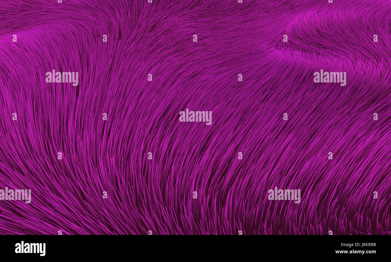 fur, skin, purple, violet, tissue, backdrop, background, hair, fiber ...