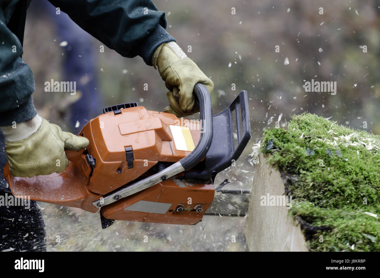 tool, tree, work, factory, timber, log, workers, laborer, worker ...