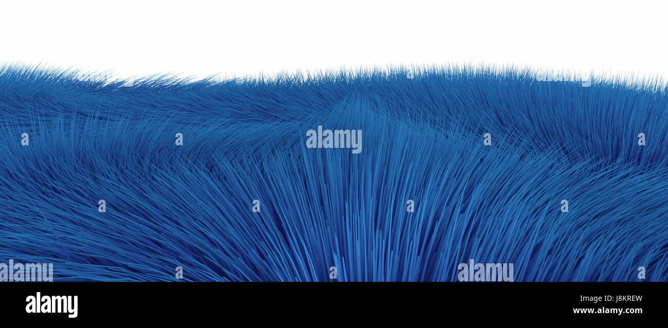 blue, fur, hairs, skin, tissue, backdrop, background, hair, fiber, blue ...