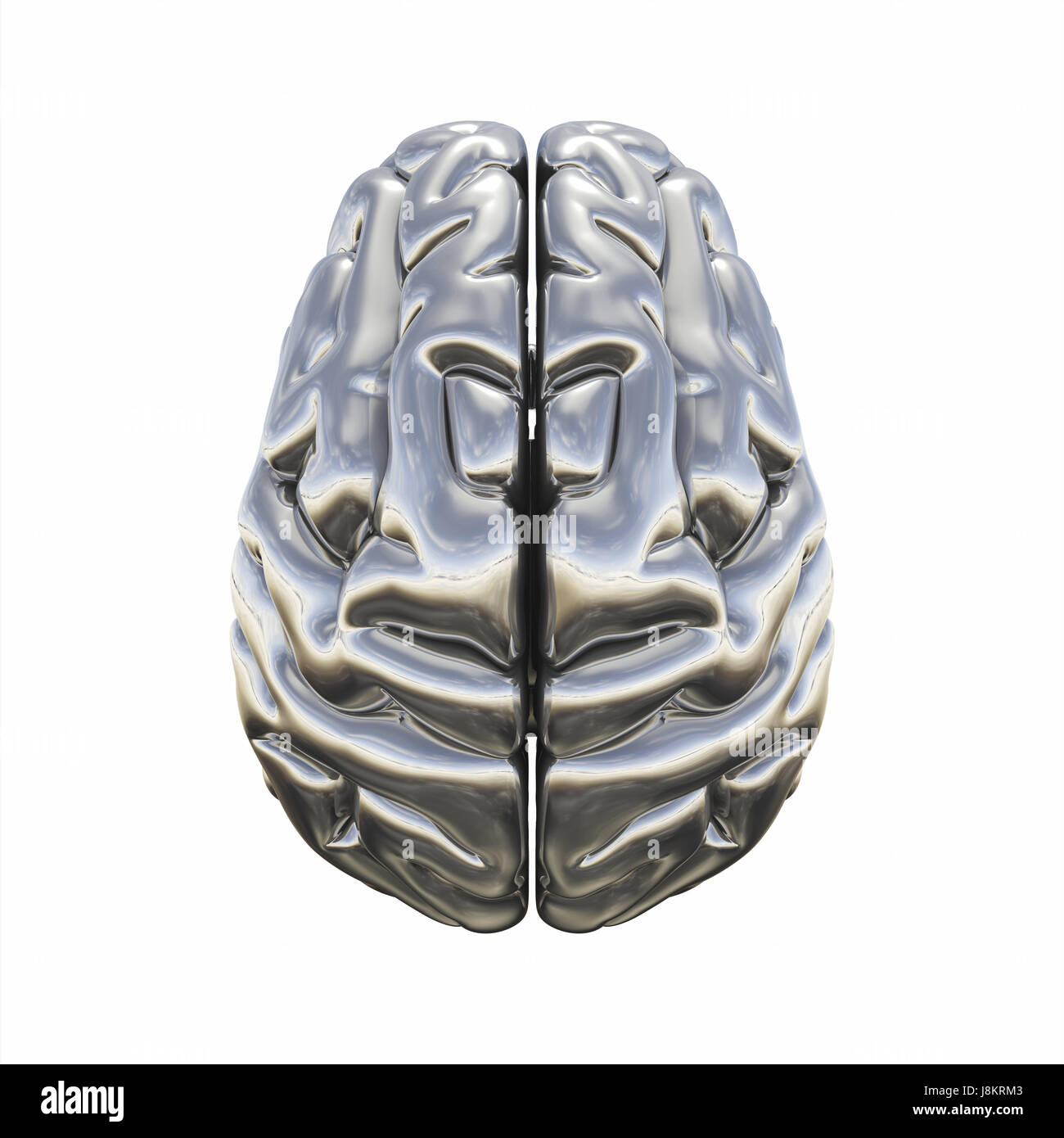 silver, bright, shiny, chromium, brain, mind, apart, extra, insulated ...