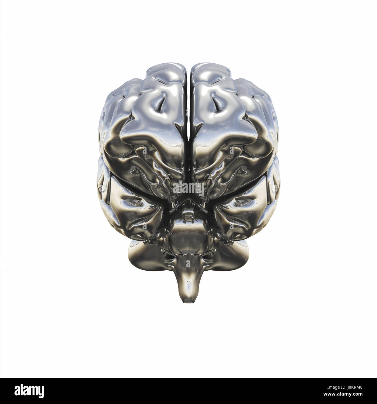 chrome brain - frontal view Stock Photo - Alamy